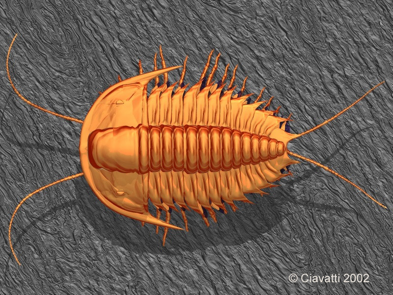 mission 2 - Evolution biologique
